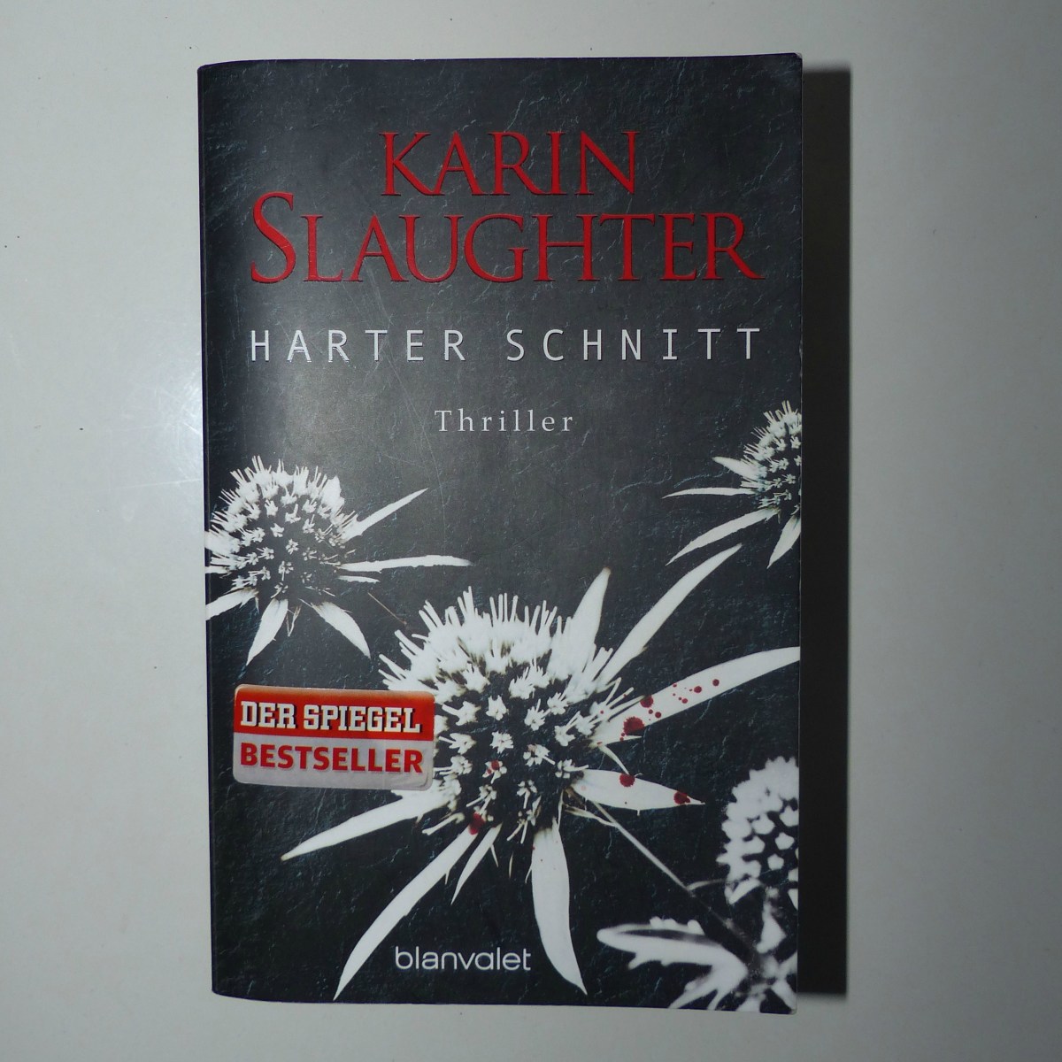 Harter Schnitt – Karin Slaughter – über das Leben mit meinem Regenbogenkind